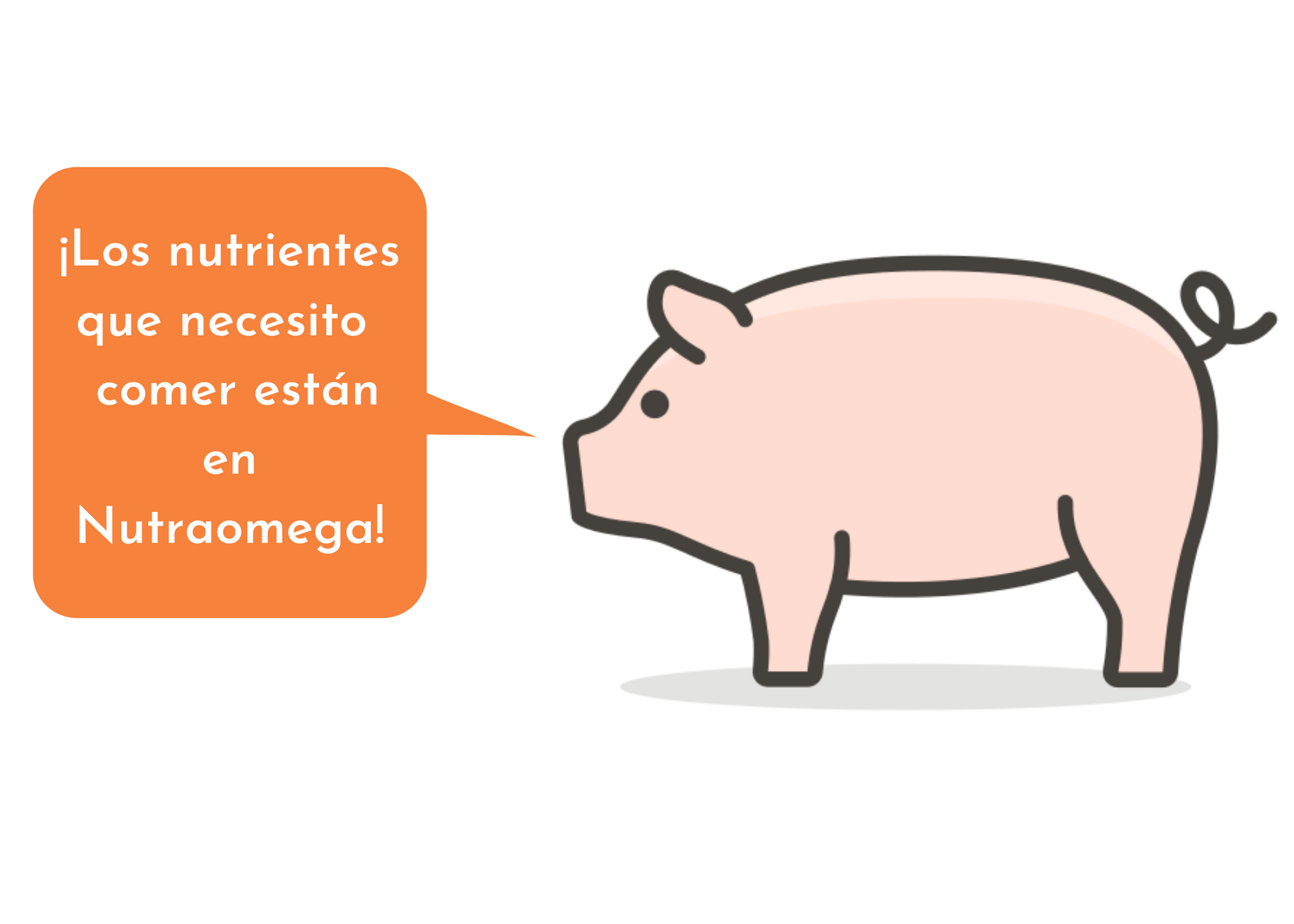 Productos